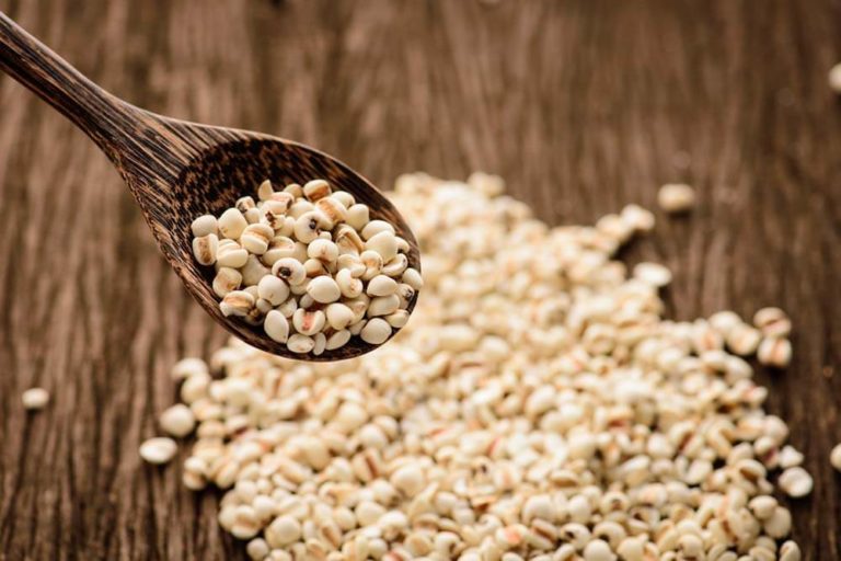 Le millet , une céréale qui se démarque